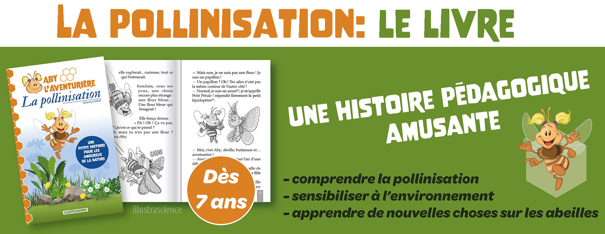 la pollinisation expliquée simplement - illustrascience